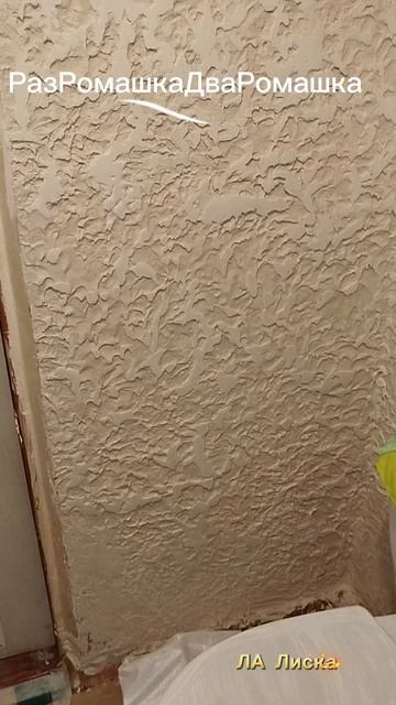 17.11.2025 КАК ТО ТАК 😁сам себе режиссёр #shorts