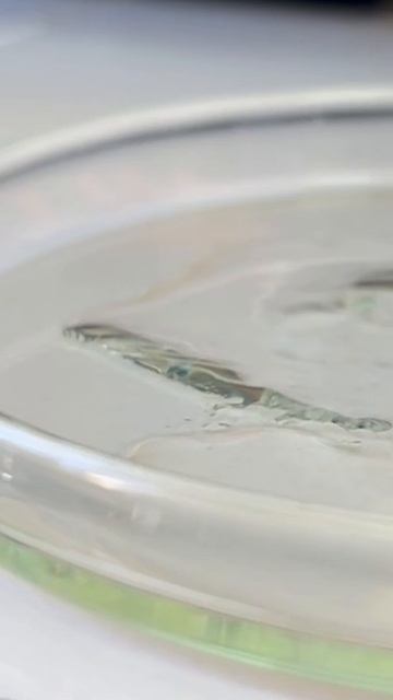 Живая химия