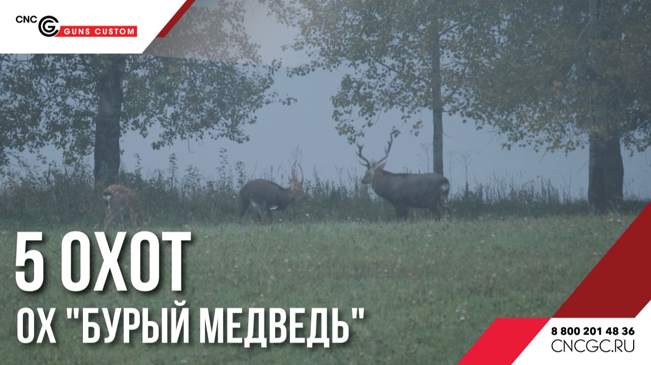 Охота в уральской тайге: 5 выездов с CNC Guns custom