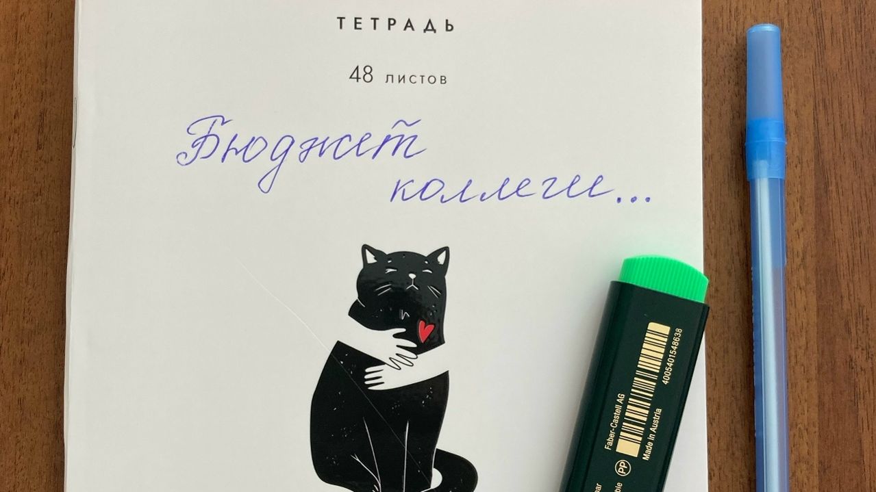 #Бюджет коллеги ☀️ДОСРОЧКА по кредиту ноябрь