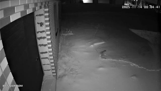 Лиса в гости заходила