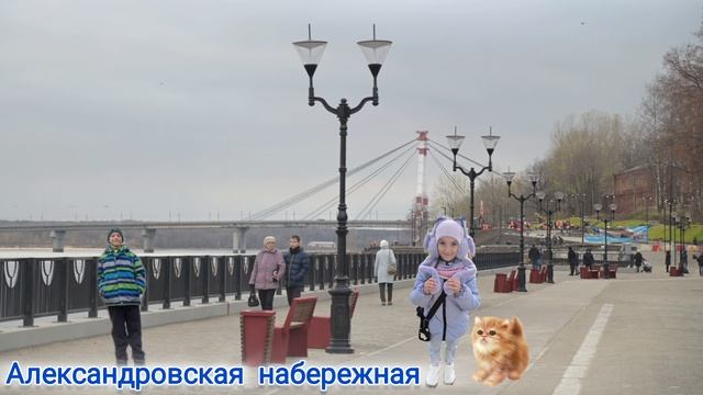 Путешествие кота Василия по Вологодской области