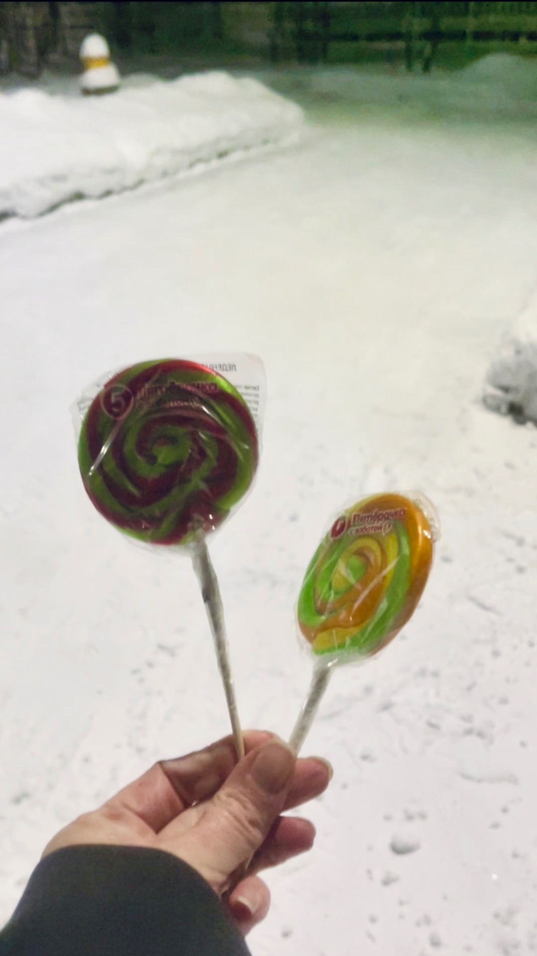 Забираю рыжиков из садика