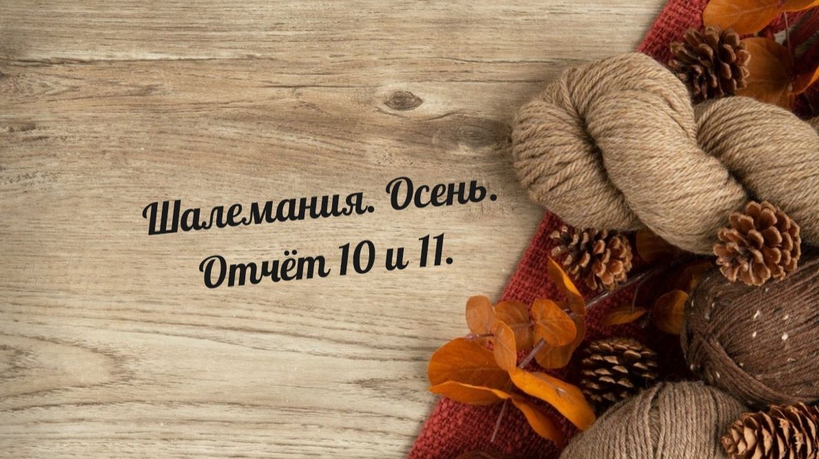 Шалемания. Осень. Отчёт 10 и 11.