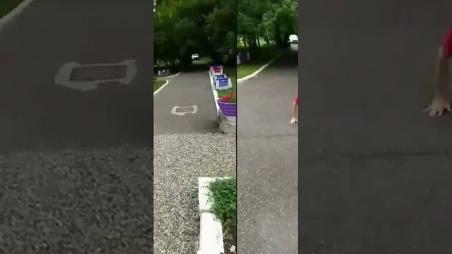 №1 Видео ролик про КРЦ Орленок