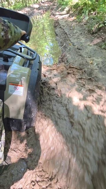 Квадро гряземес.