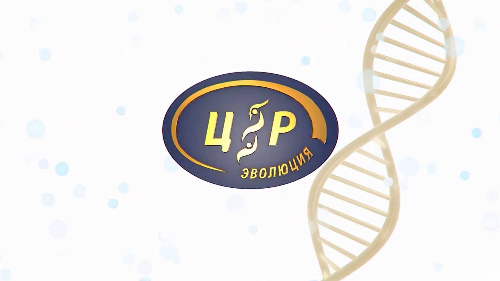 История компании "ПЛАНЕТА РЕГИОНОВ" 2008-2015