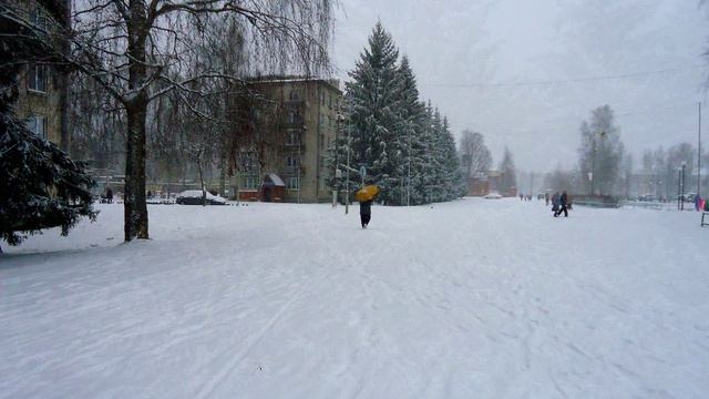 ЗИМА  ПРИШЛА...!