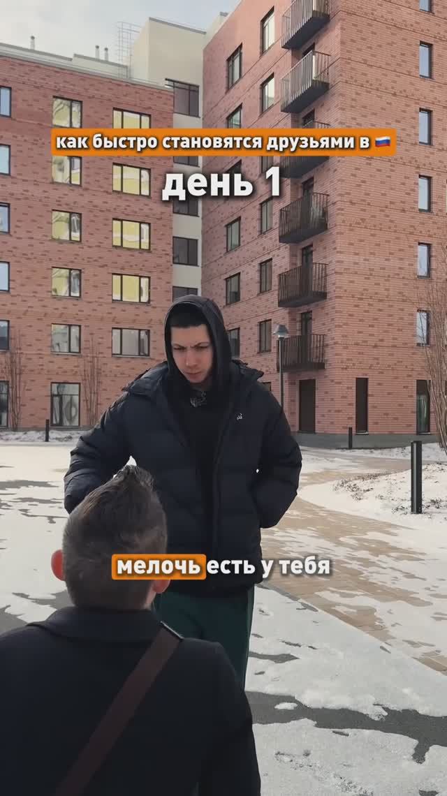 Друзей много не бывает! Особенно среди соседей