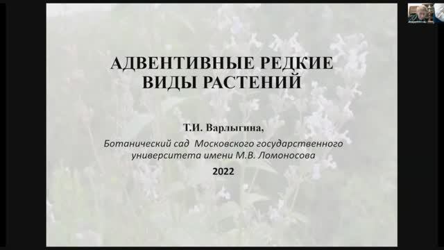 Адвентивные редкие виды растений
