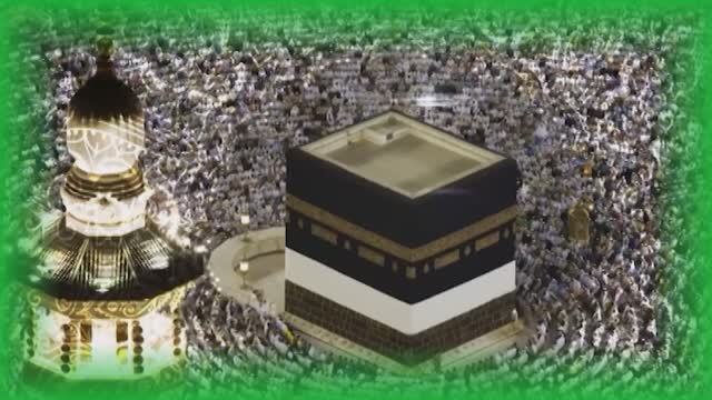 Дина лерх1амаш 14.11.25 Ваделанаькьан 1аддал- Мажит