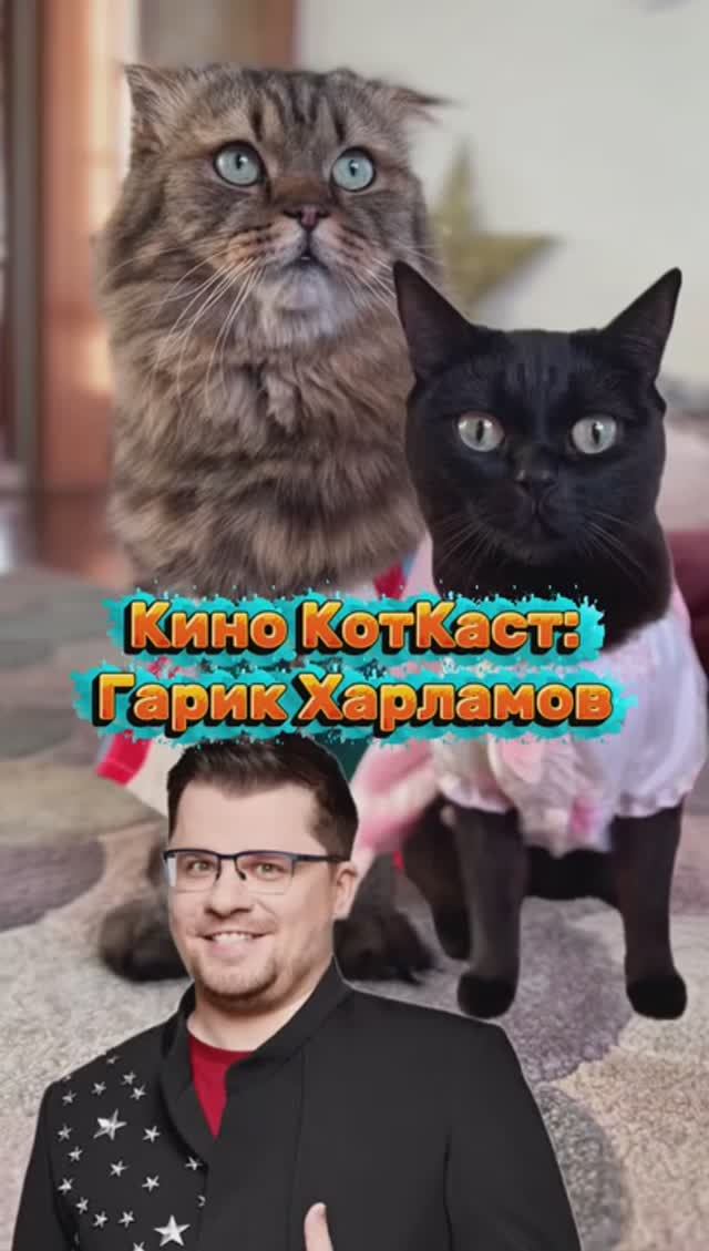 Кино КотКаст: Гарик Харламов🌟 А какие факты вы еще знаете?😸 #факты #актеры #КиноКотКаст #котики