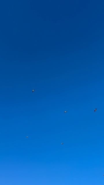 Какое небо голубое! 💙