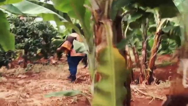 EVOLVE 4 Documentary Unit 7 - Mobile Communication in Africa