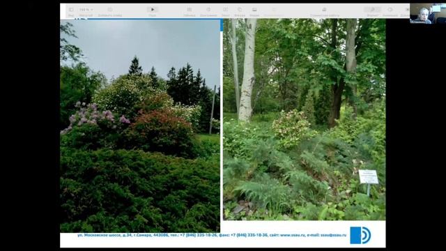 К оценке инвазионного потенциала фитоинтродуцентов в лесостепи Среднего Поволжья