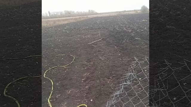 Осенние хлопоты...