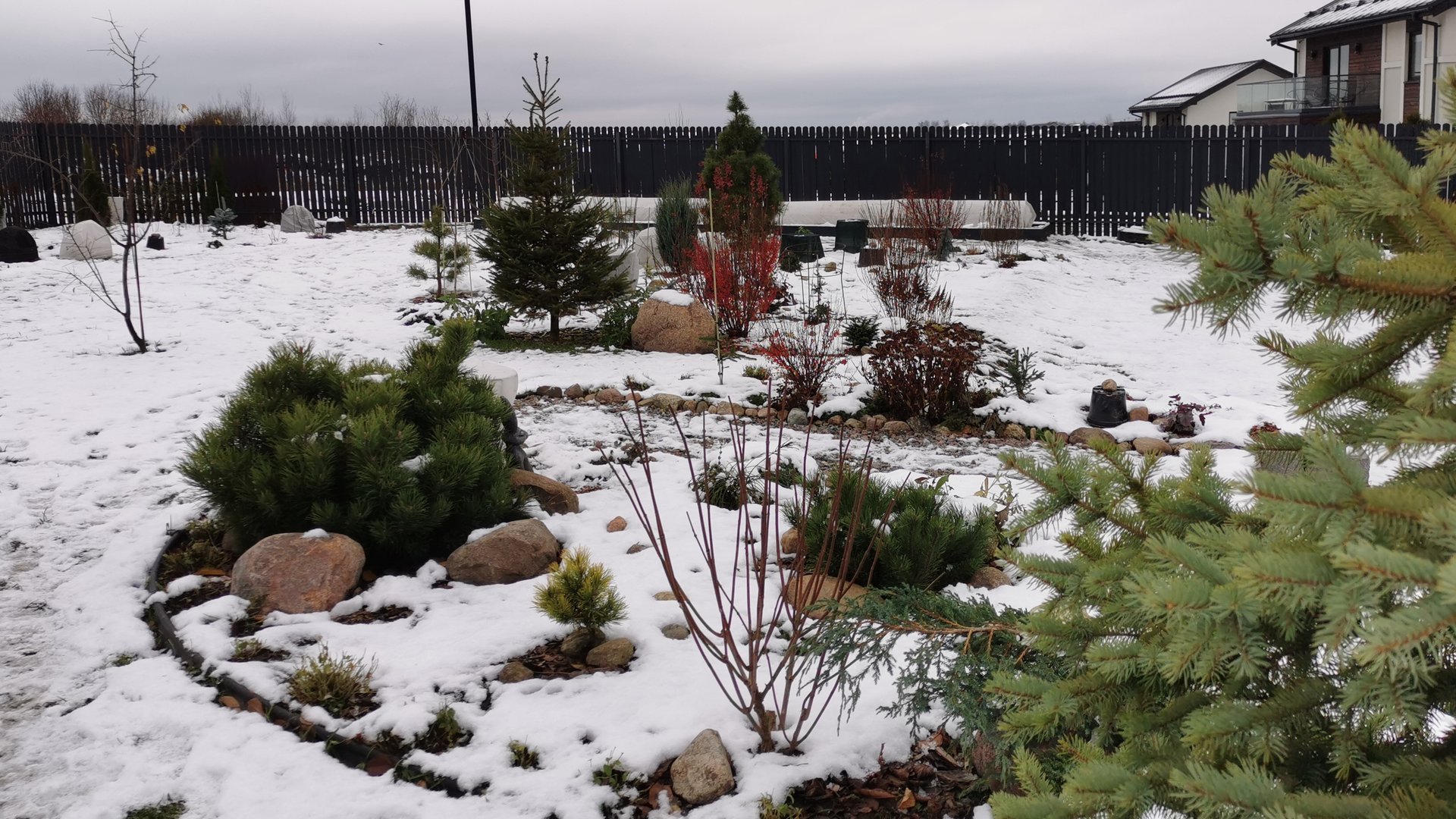 Как подготовила к зиме сад. 17.11.2025 восток Ленинградской области