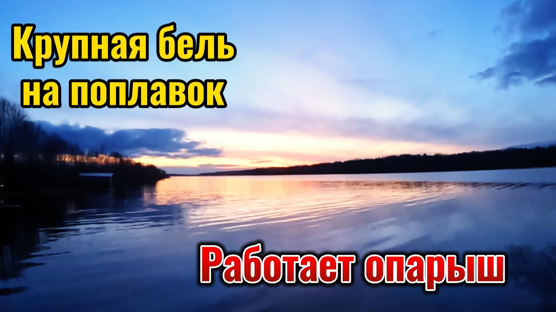 Клёв крупной плотвы и другой рыбы. Ловлю на опарыша в начале ноября.
