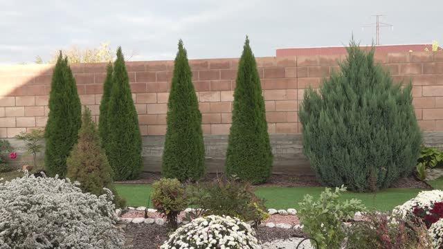 Вай боахам 27,10,25 автор Холохоева Пятимат