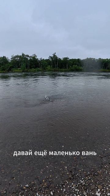 Прирожденная рыбачка: горбуша не успевает уйти!