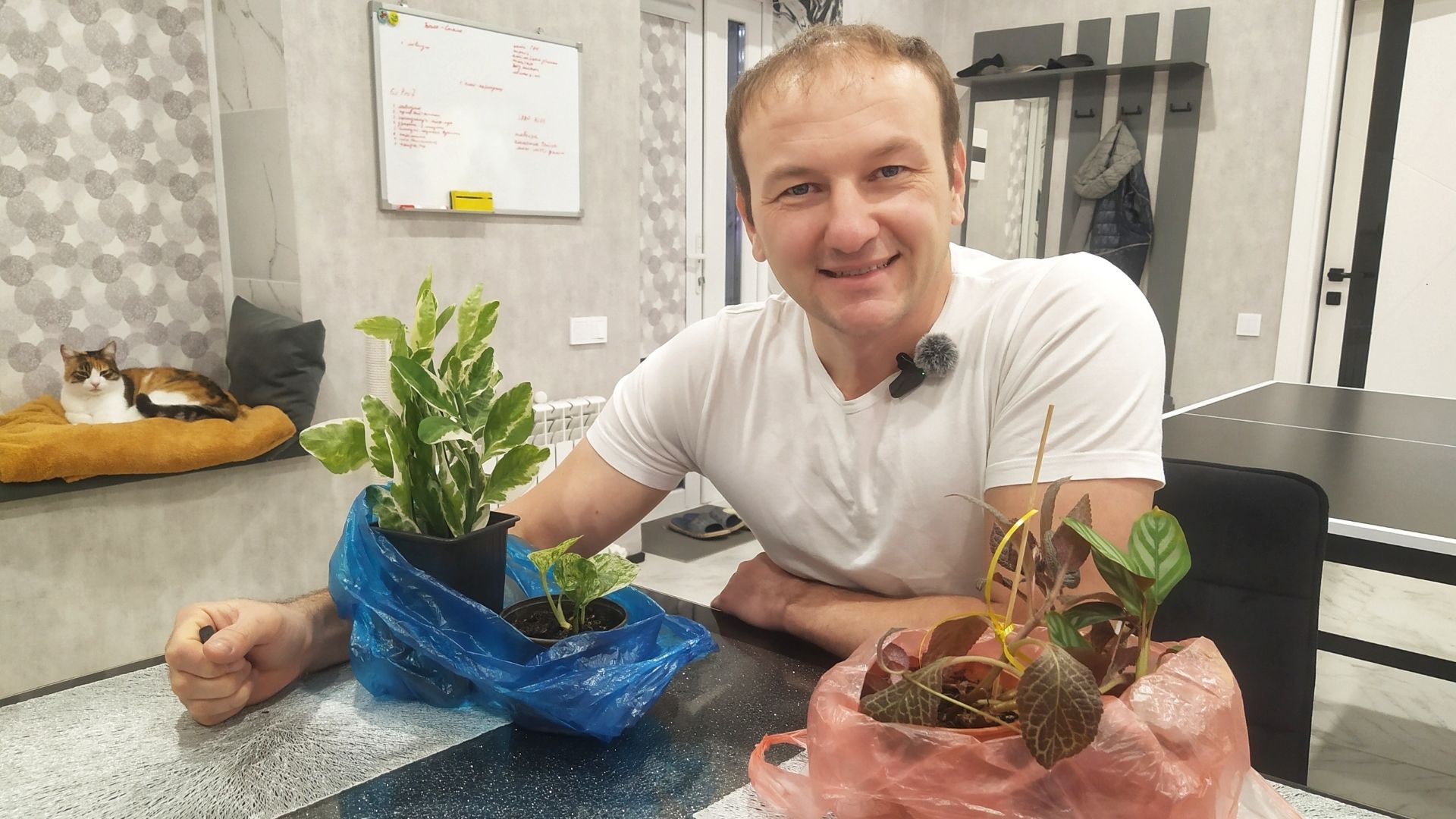 Обзор ярмарки выходного дня: ноябрь