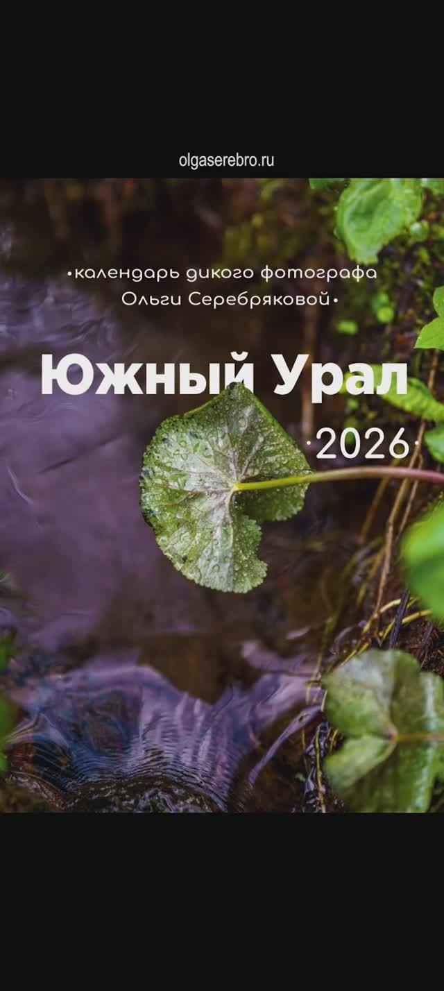 Календарь на открытках 2026
