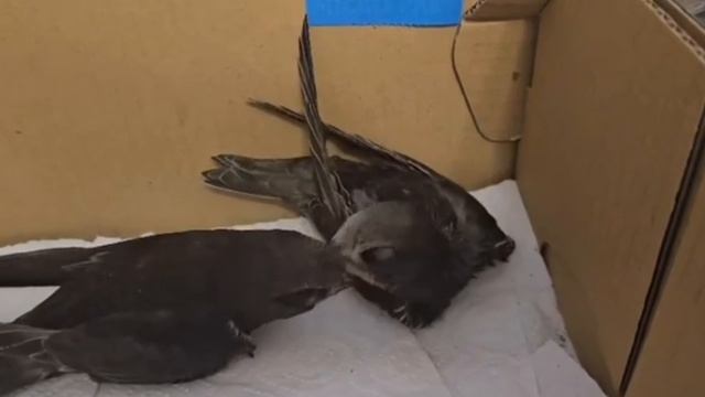 Первое знакомство