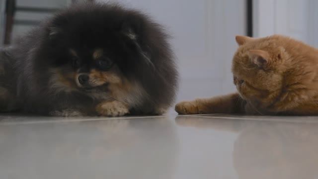 Овощи и злаки в рационе — какая от них польза?