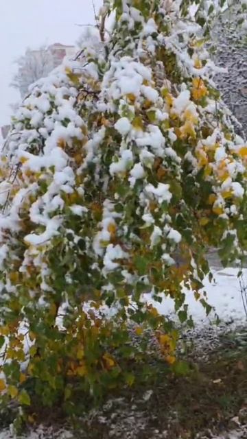 Пейзаж осени