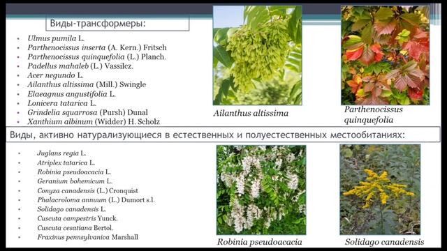 Предварительные результаты по формированию Черной книги Донбасса