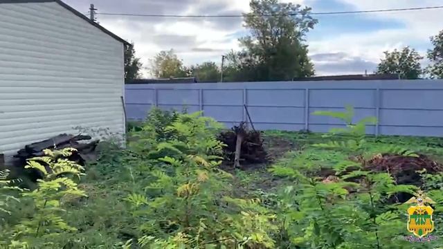 В Брюховецком районе местный житель уличен в незаконном хранении наркотиков