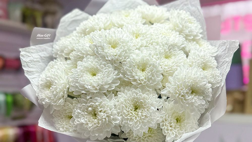 Монобукет из 3 белых кустовых хризантем для любимой!