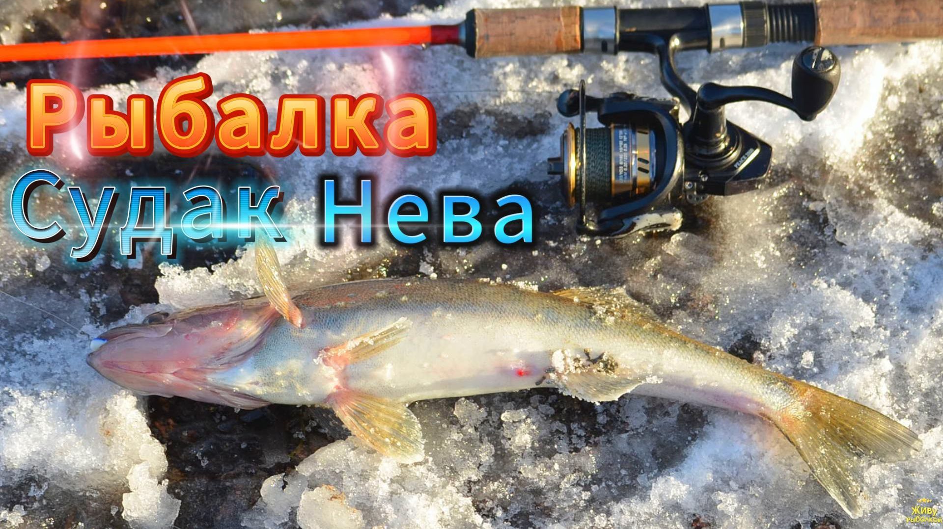 ЛОВЛЯ СУДАКА ОТВОДНОЙ РЕКА НЕВА НОЯБРЬ РЫБАЛКА ЗА ГОРОДОМ ПЕРВЫЙ СНЕГ