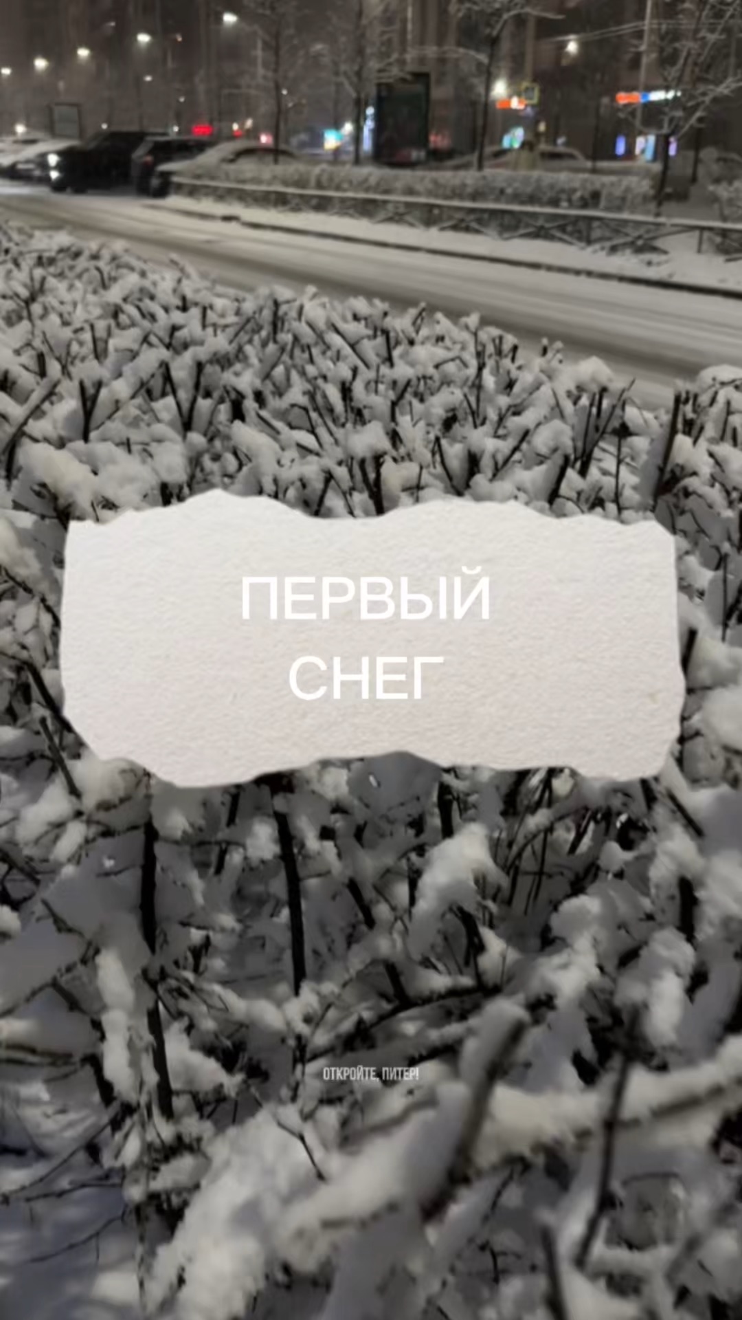 Первый снег в Петербурге