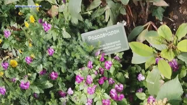 Красивый ботанический сад ❤️