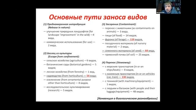 Адвентивная флора Мурманской области