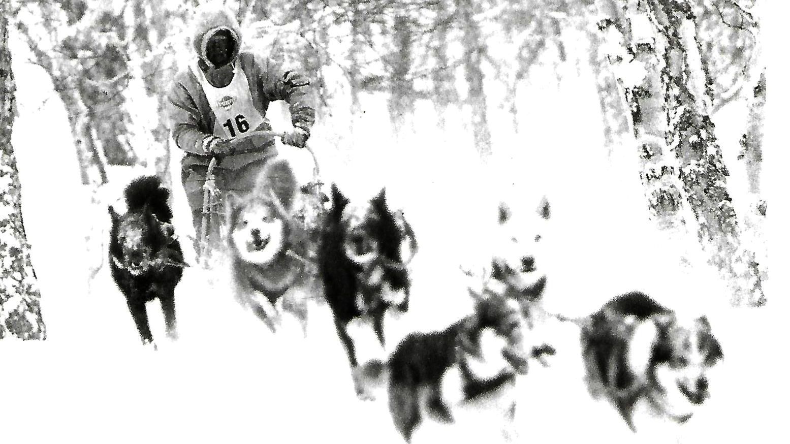 1994 год. Гонка на собаках "Берингия". Первый этап. Из Петропавловска-Камчатского в пос. Пиначево.