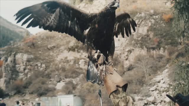 Иссык-Куль соревнования 2025