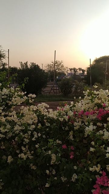 Queen Sharm Resort: Queen Sharm Beach и Queen Sharm View (Вераклуб Квин Шарм) Шарм-эль-Шейх, Египет