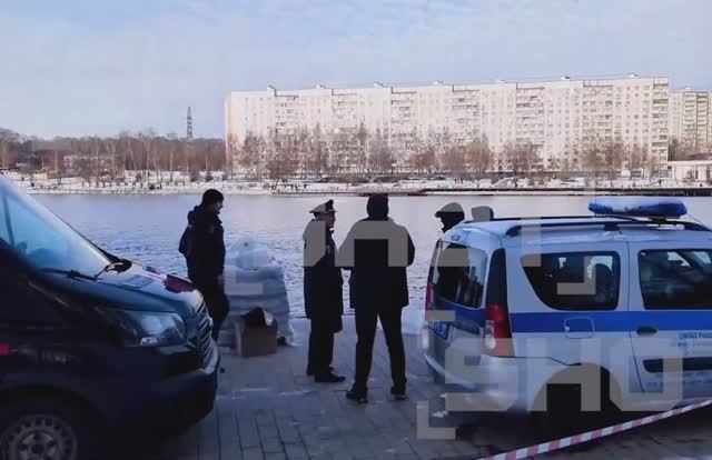 Пруд, в котором была найдена голова ребёнка, обследуют водолазы на предмет наличия других останков