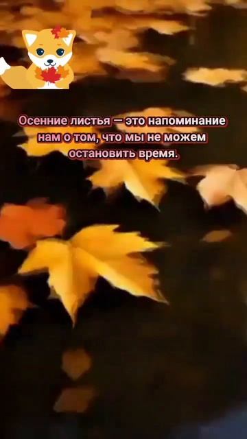 Время нельзя остановить! 👍😻#мудрыеслова