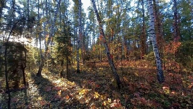 Эрнесто Кортазар. Обещания под луной.  Ernesto Cortazar. Promises Under The Moon