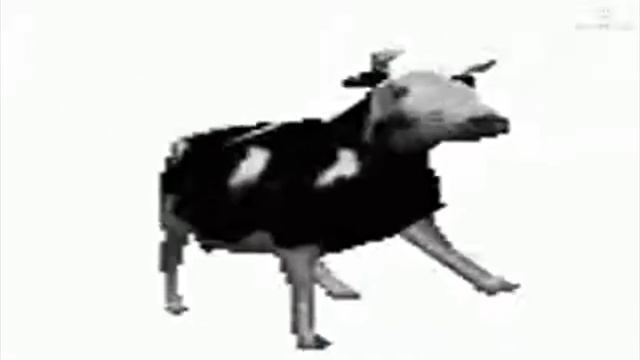 [3 минуты] корова танцует под польскую музыку!