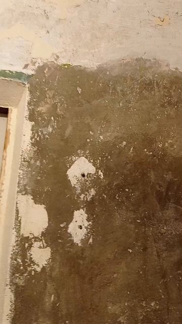 17.11.2025 г НАЧАЛА РЕМОНТ, САМА, С ОГРАНИЧЕННЫМИ БЮДЖЕТОМ. БОГ В ПОМОЩЬ 🙏#shorts