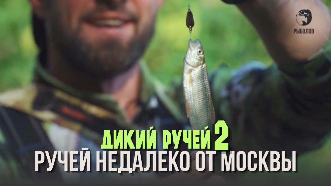 Ручей недалеко от Москвы // Дикий ручей 2 (12)