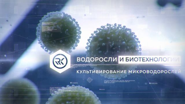 Максимумы микроводорослей Евгения Мальцева