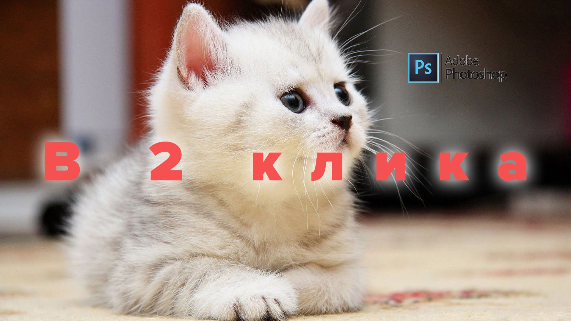 Adobe Photoshop / Обтравка (удаление фона) в 2 клика