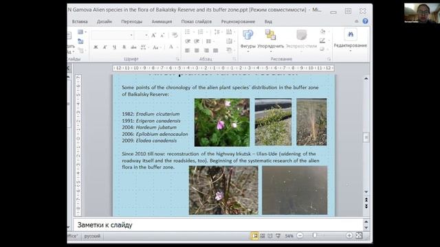 Чужеродные виды во флоре Байкальского заповедника и его охранной зоны