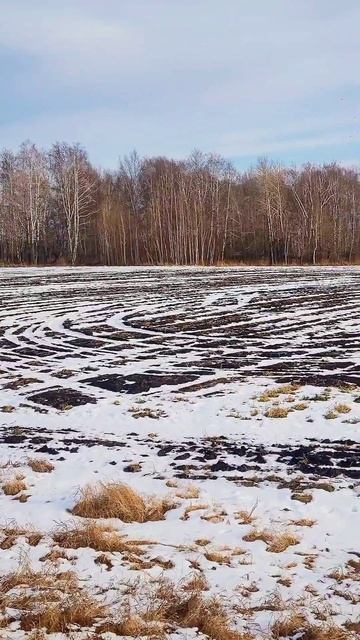 Урал Матушка земля 🫶