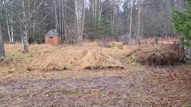 Видеоосмотр участка.